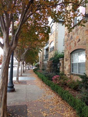 MANCHESTER STATE THOMAS APARTMENTS - Updated December 2025 - 82 Photos ...