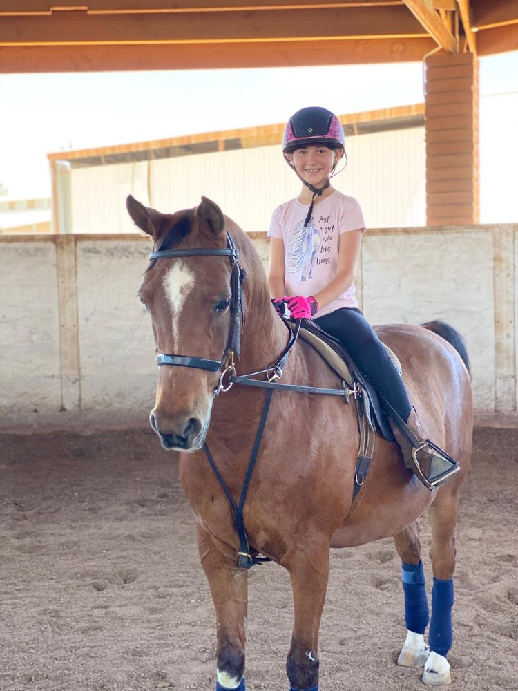 WITTE STABLES - Updated July 2024 - 54 Photos & 17 Reviews - 12480 ...
