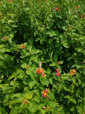 JACK JUDSON NATURE TRAILS - Updated December 2025 - 15 Photos - Viesca ...