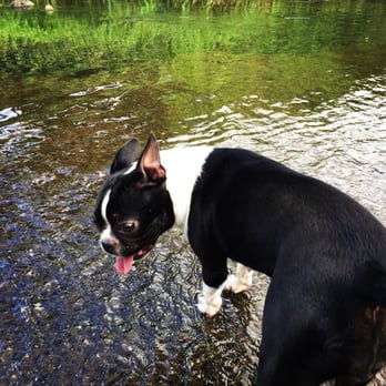 MANOA VALLEY DISTRICT DOG PARK - Updated December 2025 - 19 Photos & 21 ...