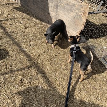 RANCHO LOS FONSECA - Updated October 2025 - 154 Photos & 49 Reviews ...