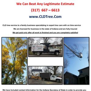 WRIGHTS TREE SERVICE - 238 N Delaware St, Indianapolis, Indiana - Tree ...