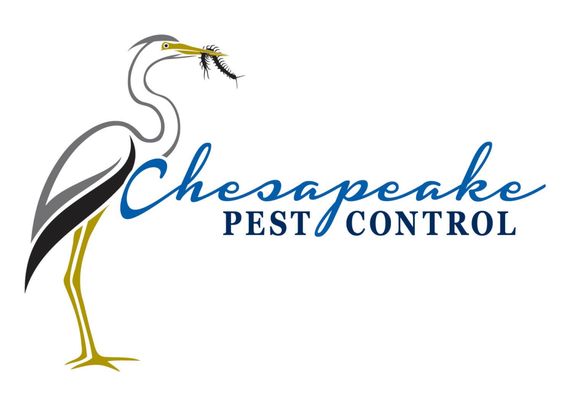 CHESAPEAKE PEST CONTROL - Updated May 2026 - 119 Tilden Ave, Chesapeake ...