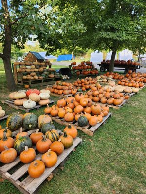GORMAN HERITAGE FARM - Updated May 2026 - 139 Photos & 26 Reviews ...