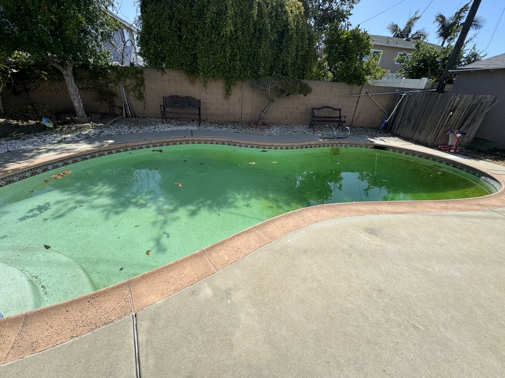 WILLY’S POOL SERVICE & REPAIR - Updated October 2025 - 14 Photos & 13 ...