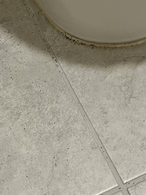 URBANEX PEST CONTROL - Updated May 2026 - 14 Photos & 68 Reviews ...