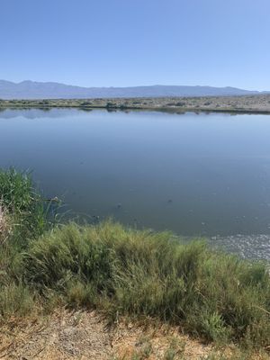 DIRTY SOCKS SPRING - Updated July 2025 - 13 Photos - 3005 CA-190 ...