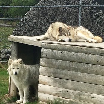 KISMA PRESERVE - Updated September 2024 - 30 Photos & 18 Reviews - 446 ...