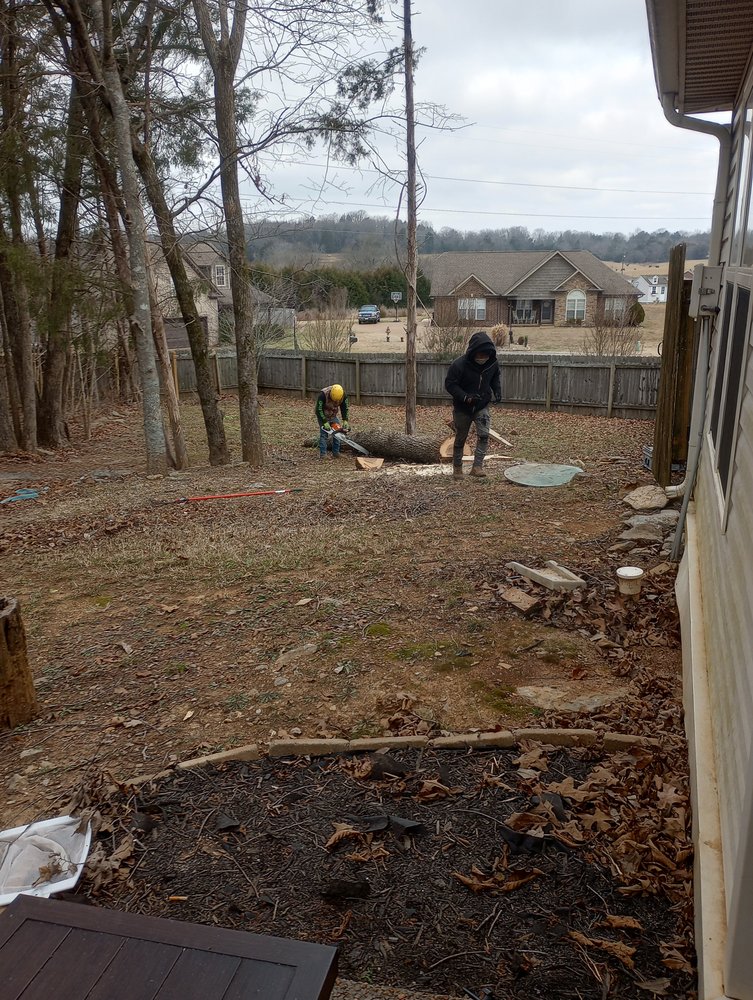 WEST TREE SERVICE - Updated December 2025 - 1221 Hwy 109 N, Lebanon ...