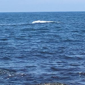 CAMP RAMSBOTTOM - Updated April 2025 - 205 Winthrop St, Rehoboth ...