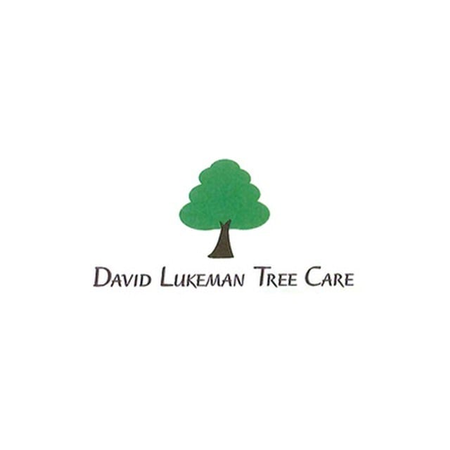 DAVID LUKEMAN TREE CARE - Updated June 2025 - 18 Simon Road, Birmingham ...