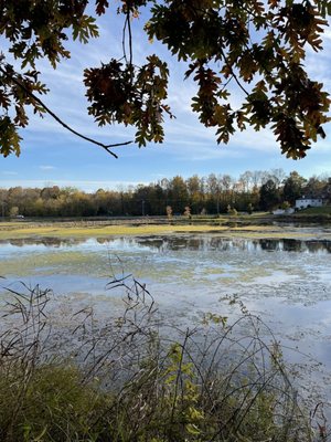 DUNBAR CAVE STATE PARK - Updated November 2024 - 272 Photos & 64 ...