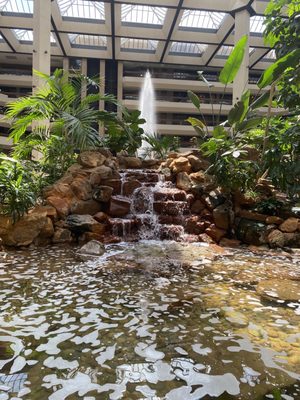 JUJI’S KITCHEN - 46 Photos & 35 Reviews - 6 Desta Dr, Midland, Texas ...