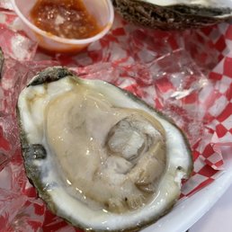 SHELLS SEAFOOD - TAMPA - Updated December 2025 - 723 Photos & 657 ...