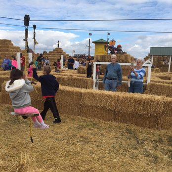 THIES FARM & GREENHOUSES - Updated June 2024 - 33 Photos & 16 Reviews ...