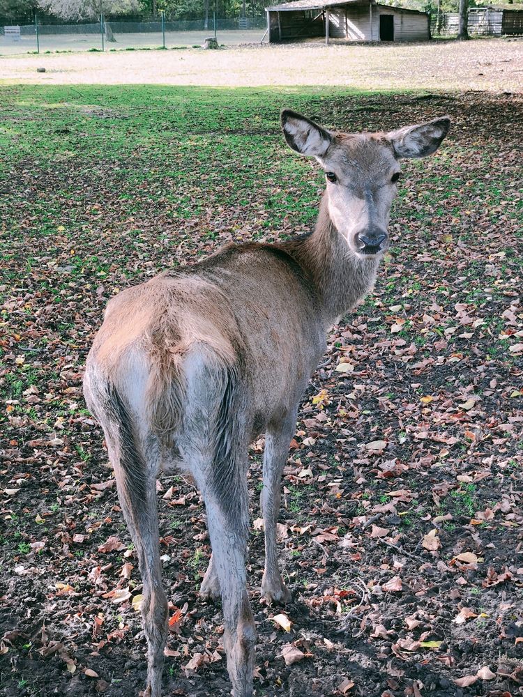 FREIZEITPARK POSSEN - 20 Photos - Possen 1, Sondershausen, Thüringen ...