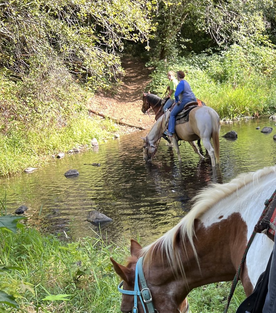 REBER’S RANCH - Updated October 2025 - 23400 NW Flying M Rd, Yamhill ...