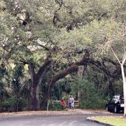 LONG KEY NATURAL AREA & NATURE CENTER - 299 Photos & 30 Reviews - Parks ...