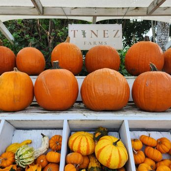 TINEZ FARMS - Updated December 2024 - 336 Photos & 59 Reviews - 16405 ...