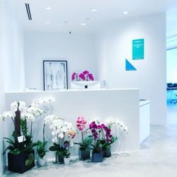 JEREMY HELDT, DDS - 251 Photos & 90 Reviews - 2001 Westcliff Dr ...