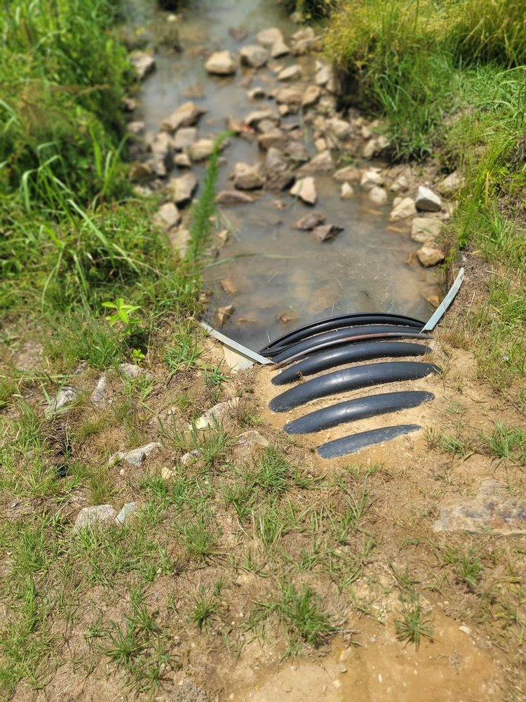 ANGIER RECREATION PARK - Updated May 2025 - 14 Photos - Hickory St ...