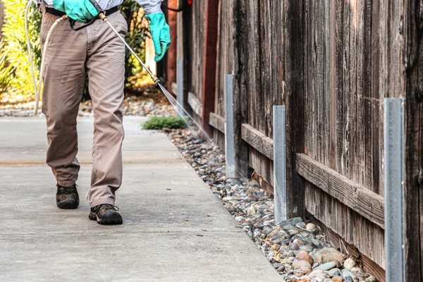 ECOGUARD PEST MANAGEMENT - Updated December 2025 - 40 Photos & 196 ...