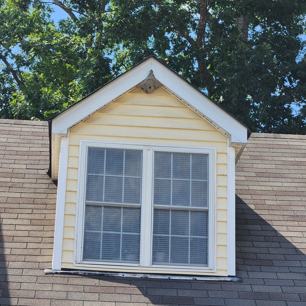 SPIRE PEST CONTROL - Updated November 2025 - 14 Photos & 10 Reviews ...