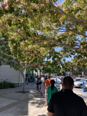 OAKLAND DMV OFFICE - Updated May 2025 - 126 Photos & 614 Reviews - 5300 ...