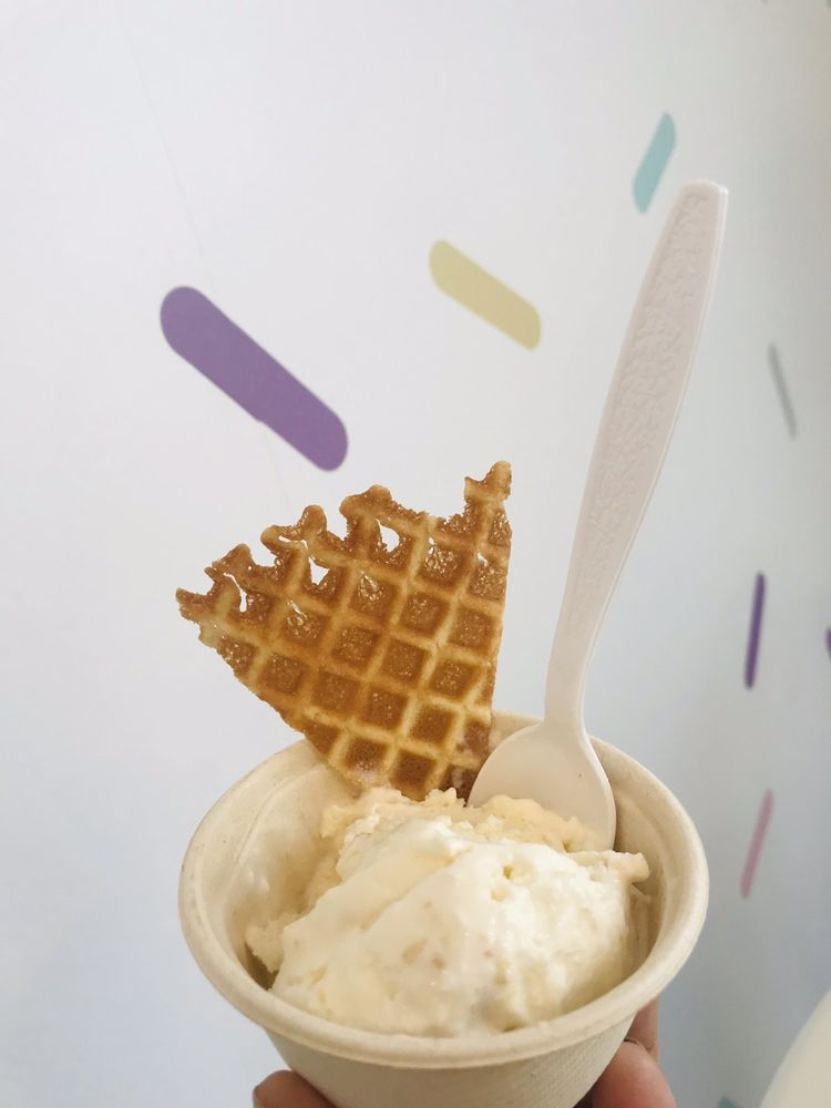 ASTRO CRAFT ICE CREAM-LUTZ - Updated October 2025 - 55 Photos & 21 ...