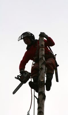 TALL TREES - Updated December 2025 - 14 Reviews - 6446 Homer Dr ...