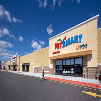 GARFIELD COMMONS - Updated September 2024 - 10 Photos - 174 Passaic St ...