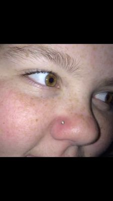 THE PIERCING SHOP - Updated June 2026 - 14 Reviews - 117 Queen St ...