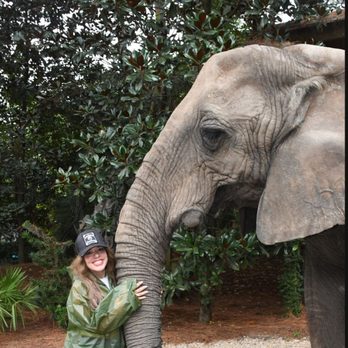 MYRTLE BEACH SAFARI - Updated November 2025 - 99 Photos & 25 Reviews ...