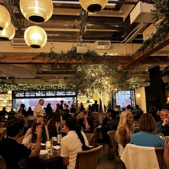 ABA - Updated June 2024 - 3918 Photos & 1603 Reviews - 302 N Green St ...