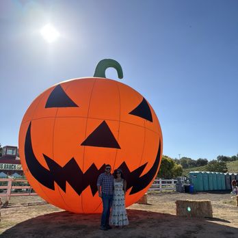 CAL POLY POMONA PUMPKIN FESTIVAL - Updated December 2025 - 686 Photos ...