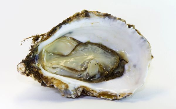 COMMUNITY SHELLFISH - Updated June 2026 - 29 Photos & 17 Reviews - 23 ...
