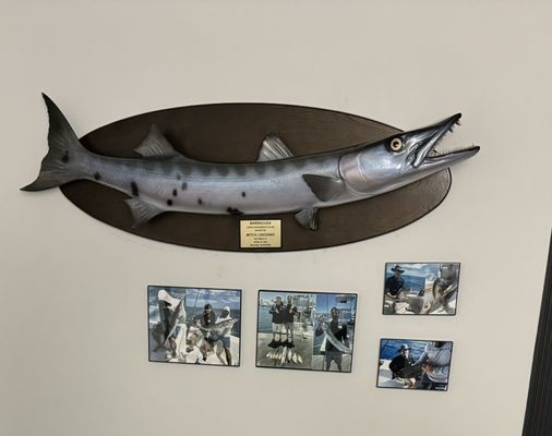 GRAY TAXIDERMY - Updated December 2025 - 146 Photos & 165 Reviews - 712 ...