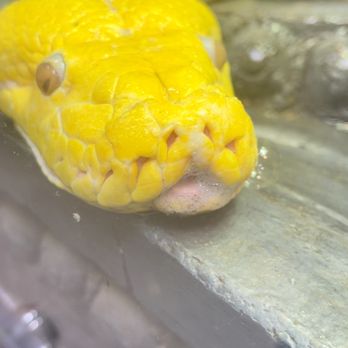 EAST BAY VIVARIUM - 588 Photos & 559 Reviews - 1827 5th St, Berkeley ...