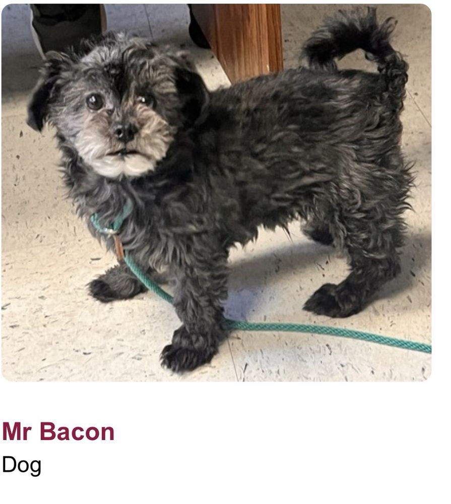 SALT LAKE COUNTY ANIMAL SERVICES - Updated January 2026 - 24 Photos ...