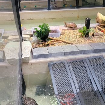 PHILLIPS PARK ZOO - Updated August 2025 - 245 Photos & 103 Reviews ...