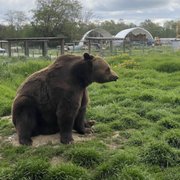 OLYMPIC GAME FARM - 716 Photos & 360 Reviews - 1423 Ward Rd, Sequim ...