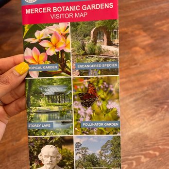 FRIENDS OF MERCER BOTANIC GARDEN - THE MERCER SOCIETY - Updated ...