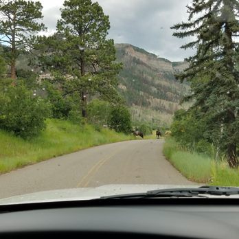 HAVILAND LAKE CAMPGROUND - Updated January 2026 - 10 Photos - San Juan ...