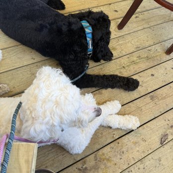 EL ARROYO 5TH STREET - Updated December 2025 - 297 Photos & 620 Reviews ...