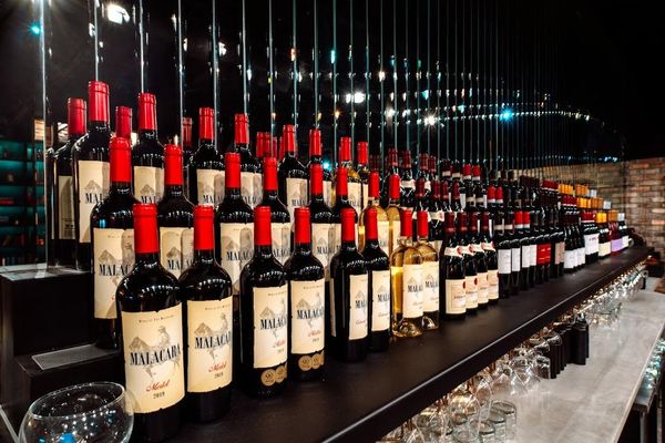 SAVAGE LABS - Updated October 2025 - 97 Photos & 26 Reviews - 2451 NW ...