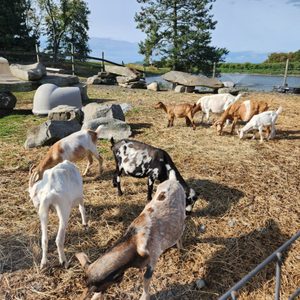 KELDER’S FARM - Updated June 2025 - 187 Photos & 65 Reviews - 5755 US ...