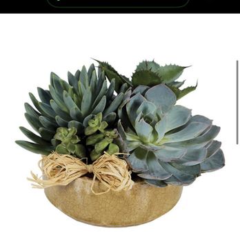 RUTH’S ROSES - Updated June 2025 - 601 Photos & 1092 Reviews - Ft ...