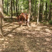 CLOVERLAND RANCH - 19 Photos - 351 Longview Rd, Fayetteville, GA - Yelp