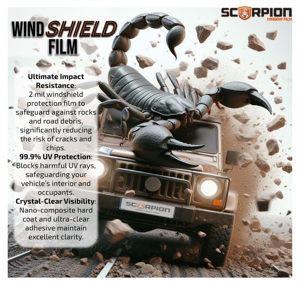 SWANNYS WINDOW TINTING - Updated August 2025 - 19 Photos - 212 W 5th St ...