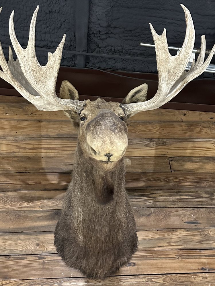 GRAFF 7A RANCH - Updated October 2024 - 26 Photos - 911 US-90, Hondo ...